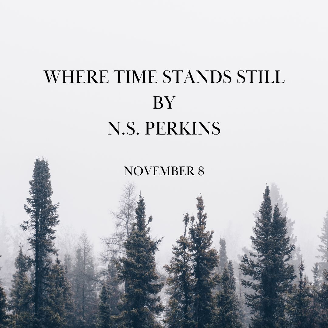 Author N.S. Perkins – Contemporary Romance Author